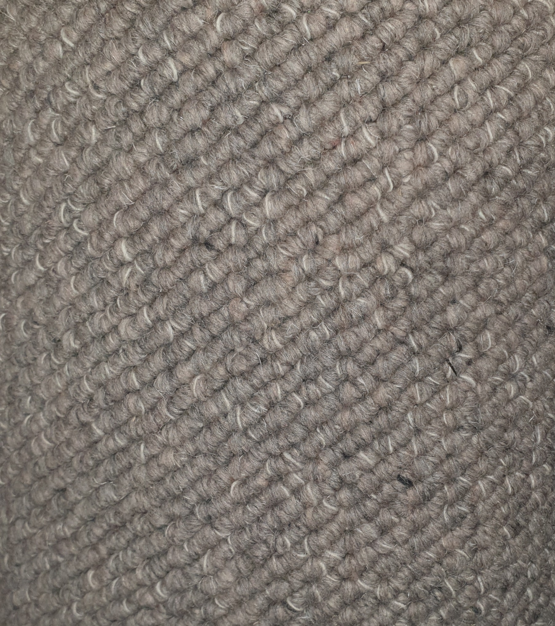 Chunky Loop Pile 100% New Zealand Wool Area Rug Tasman Sand 140 x 200cm ...